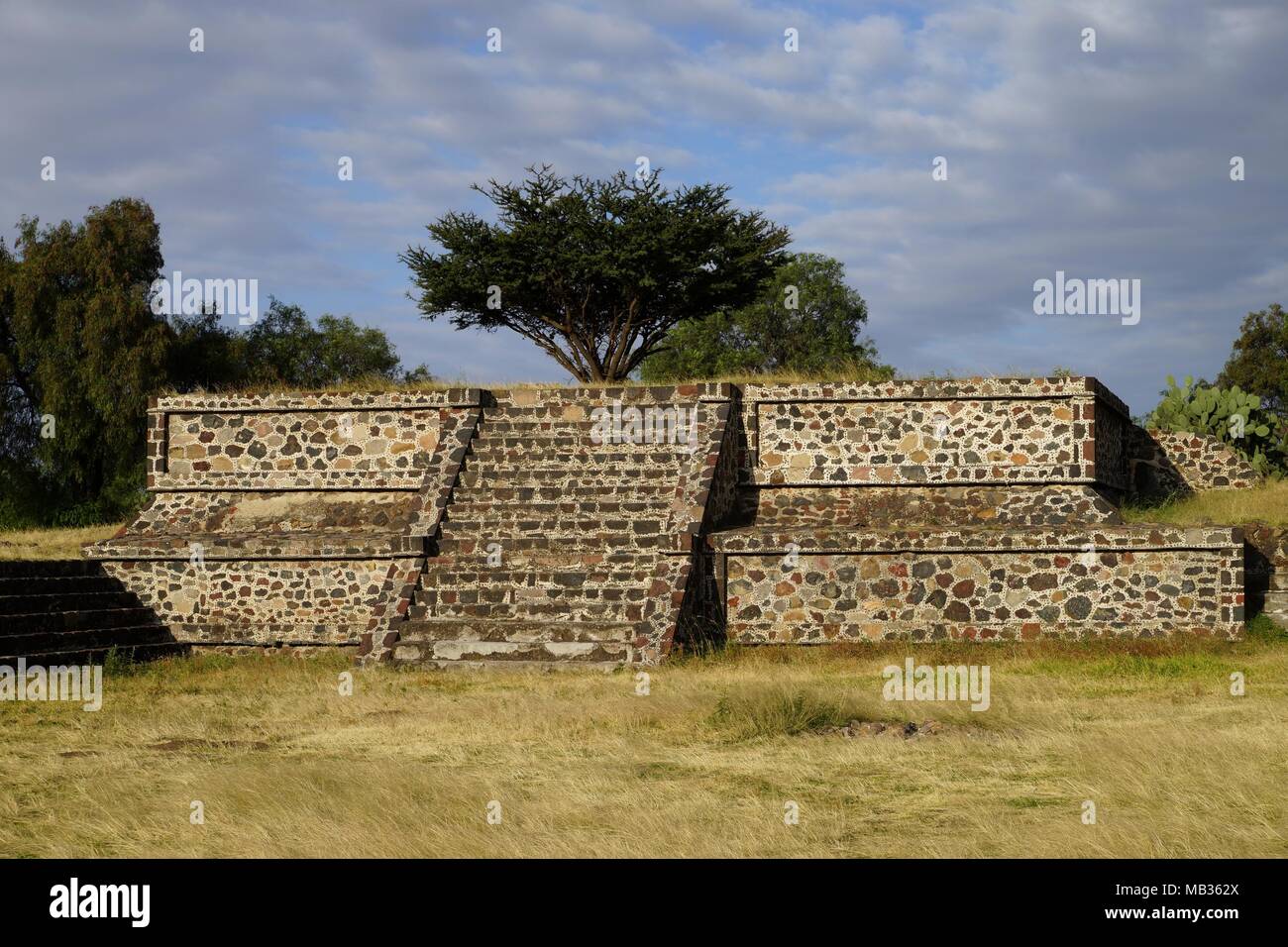 One of the smaller pyramids with a tree growing on the top in ...