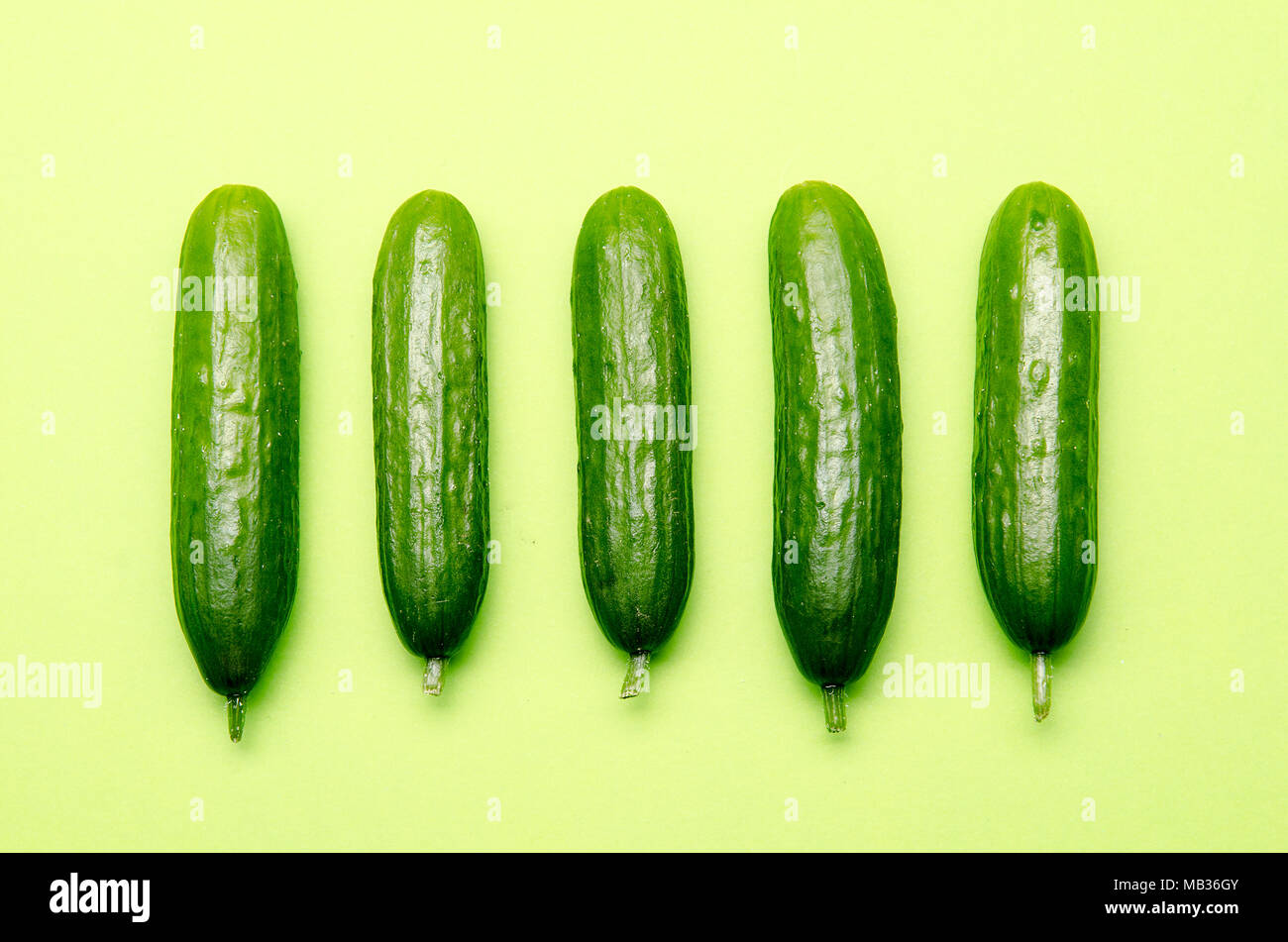 five symmetrically positioned small cucumbers on a pastel green ...