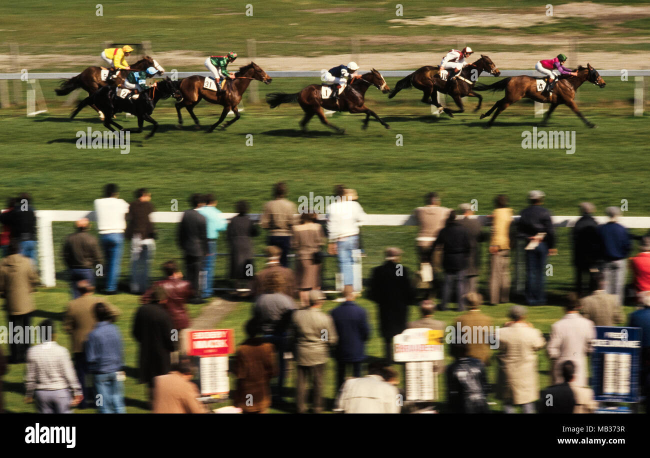 Brighton Races 1985 Stock Photo - Alamy