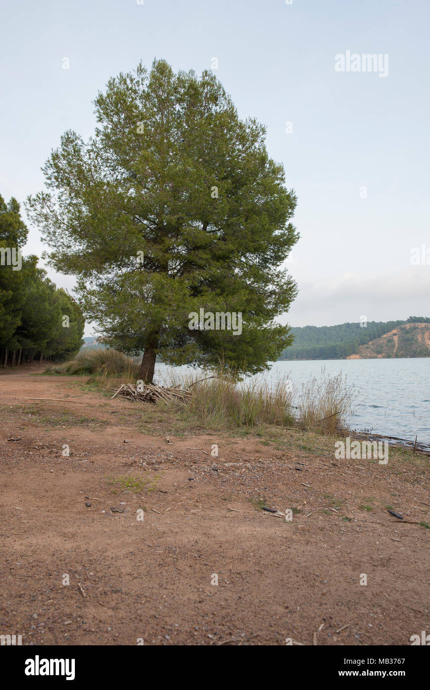 The Sichar reservoir in Castellón Stock Photo - Alamy