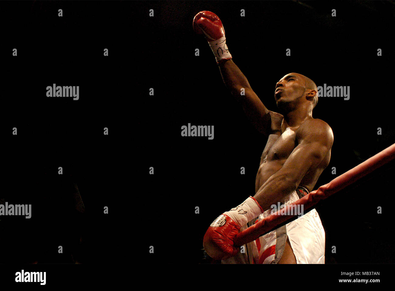 Junior british champion hi-res stock photography and images - Alamy