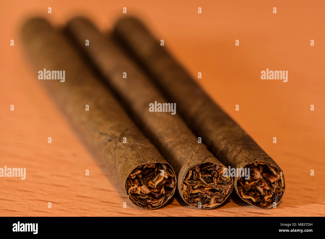 Luxurious photograph hi-res stock photography and images - Alamy