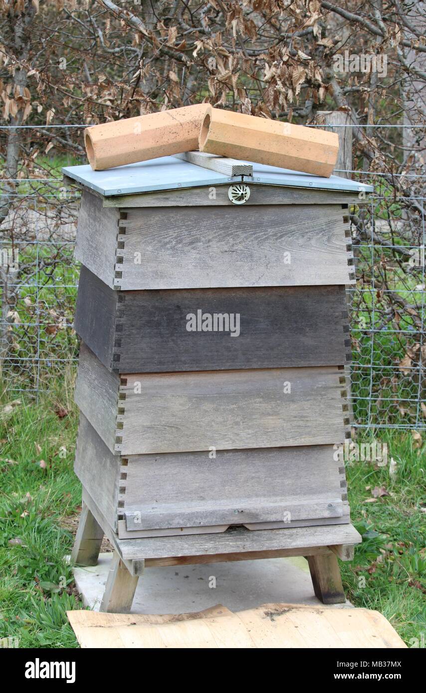 A single beehive stands in a garden in the English Countryside Stock ...
