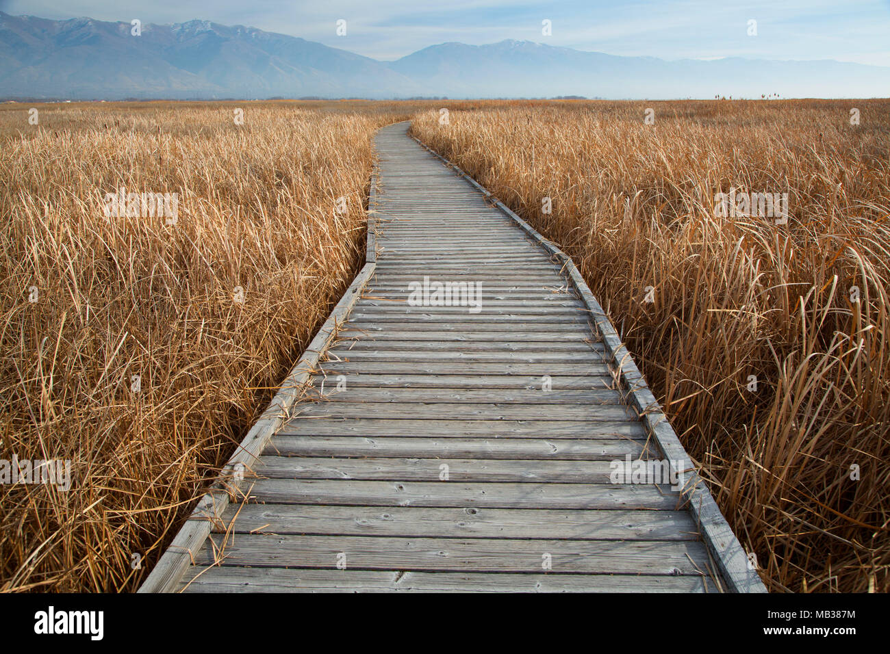 Marsh boardwalk, Great Salt Lake Shorelands Preserve, Utah Stock Photo ...