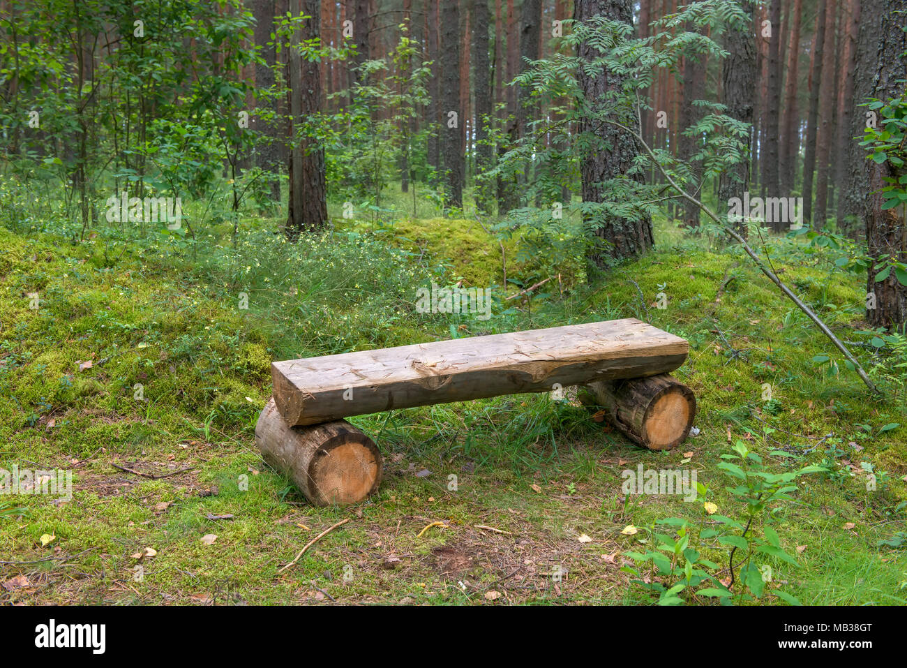 A recreation bench made of wood in the woods Stock Photo - Alamy