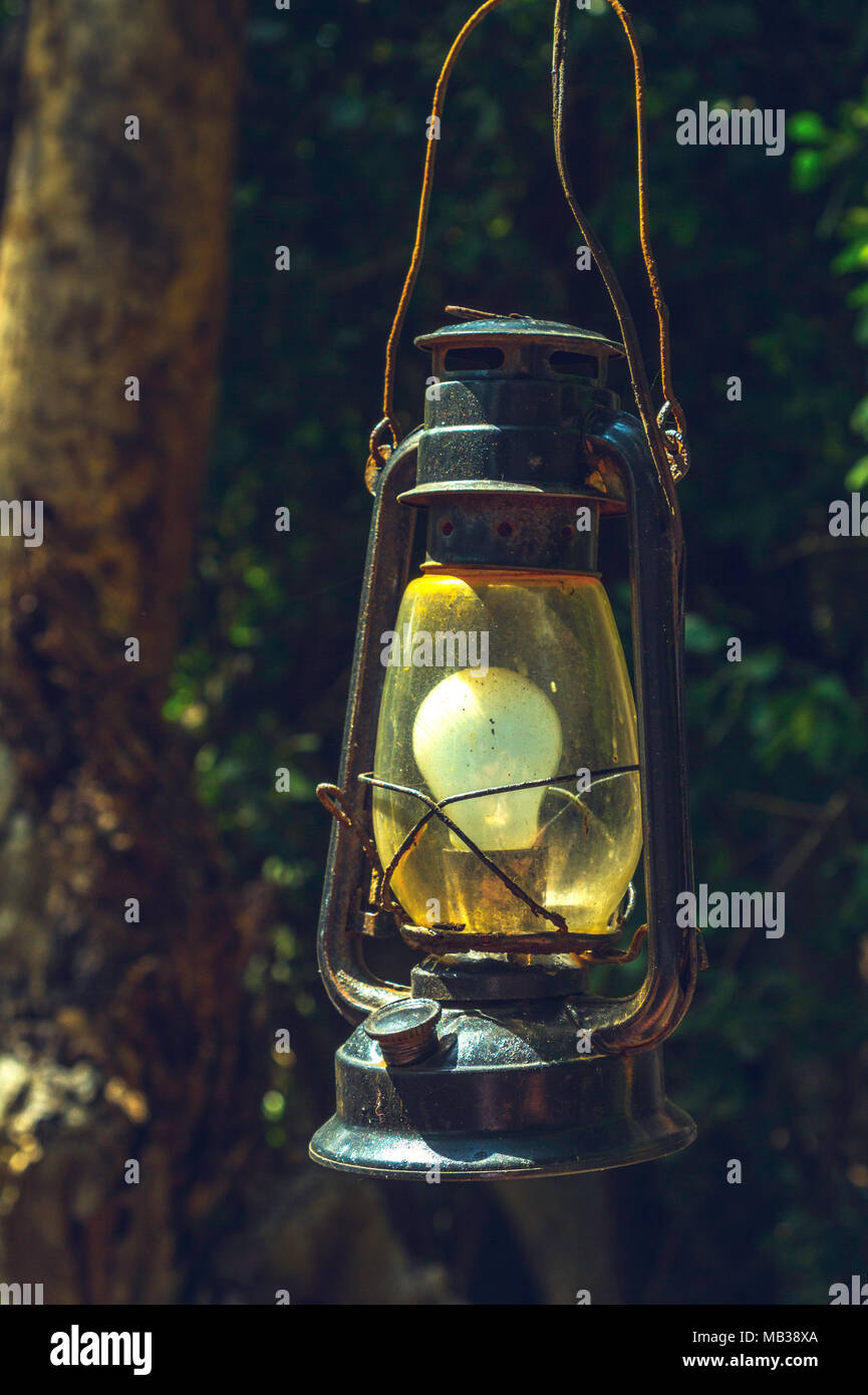 Old Lamp on a forest background Stock Photo - Alamy