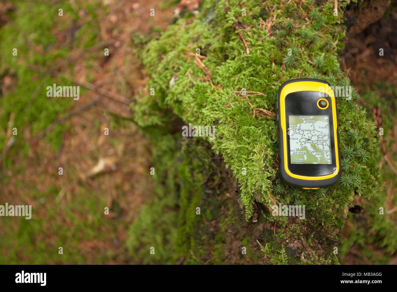 finding the right position in the forest with a gps Stock Photo - Alamy