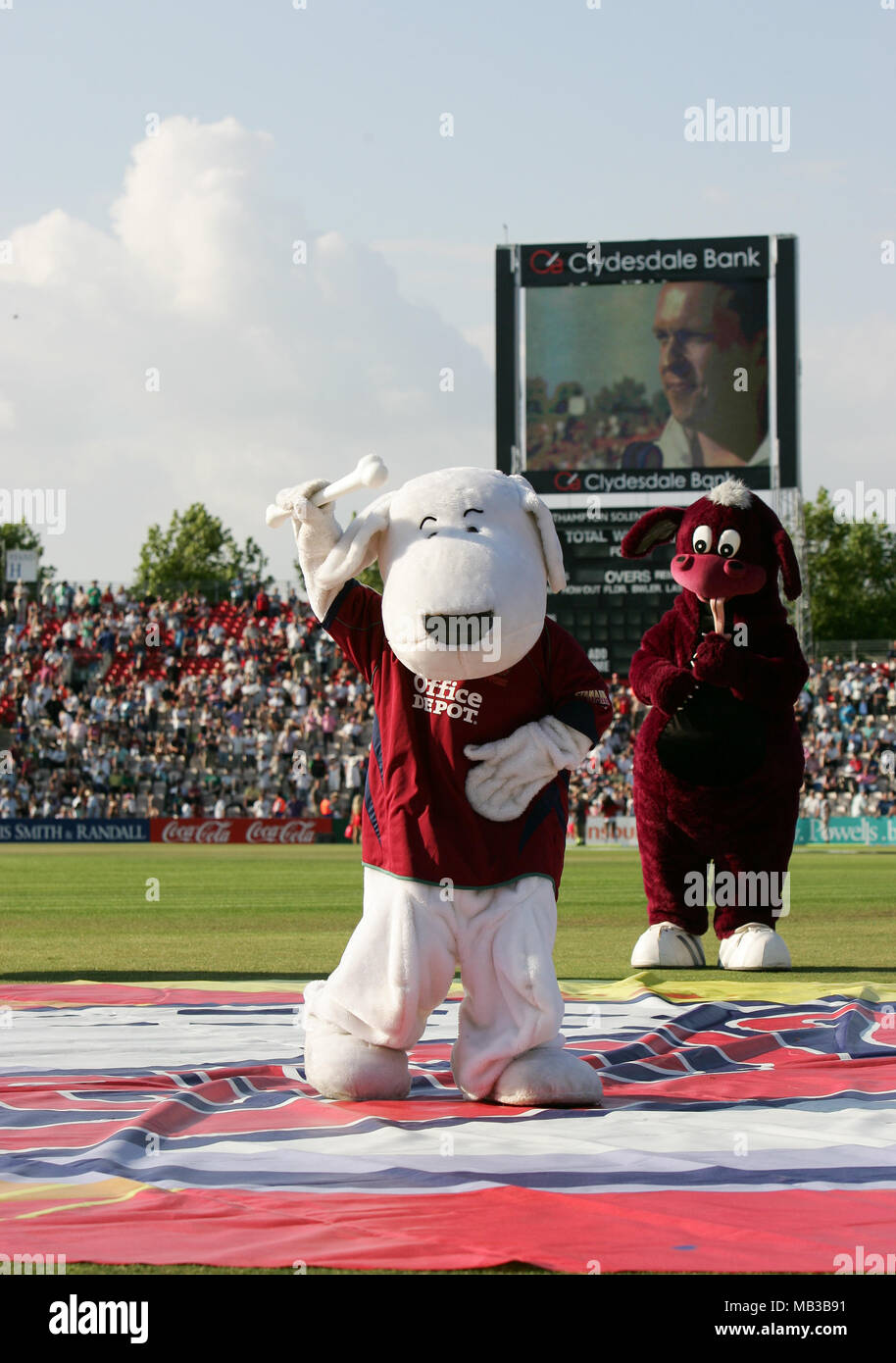 Mascot races at the 2008 Twenty20 cricket finals day Stock Photo - Alamy