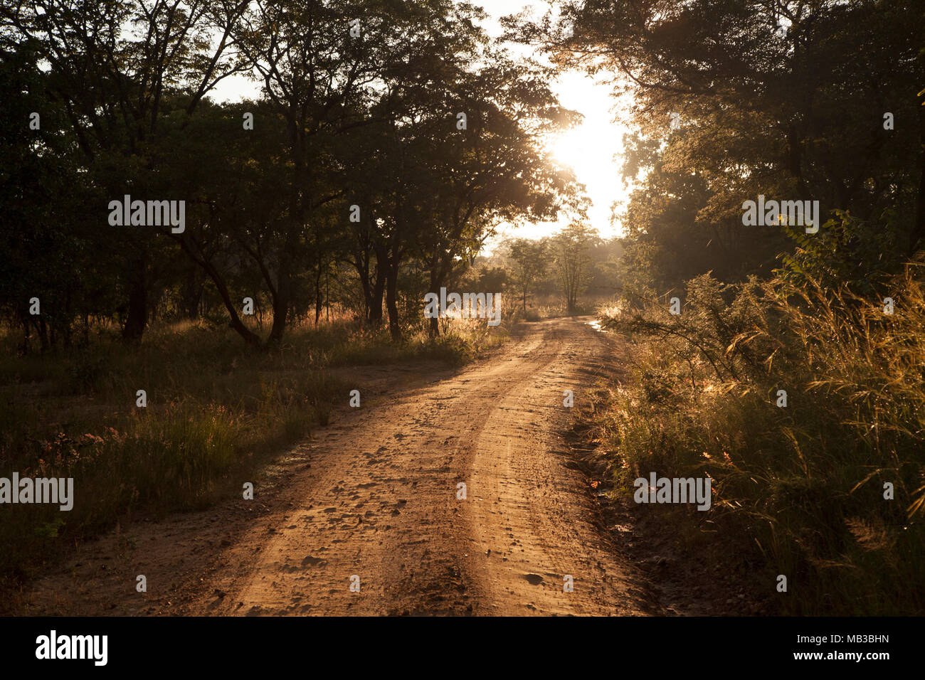 Harare road hi-res stock photography and images - Alamy