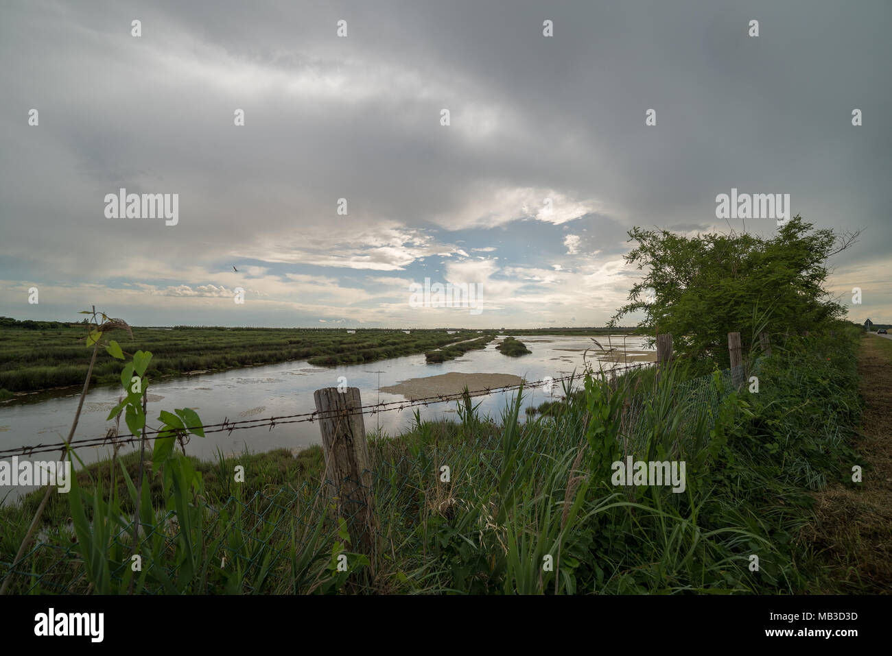 travel on delta del Po river country Stock Photo - Alamy