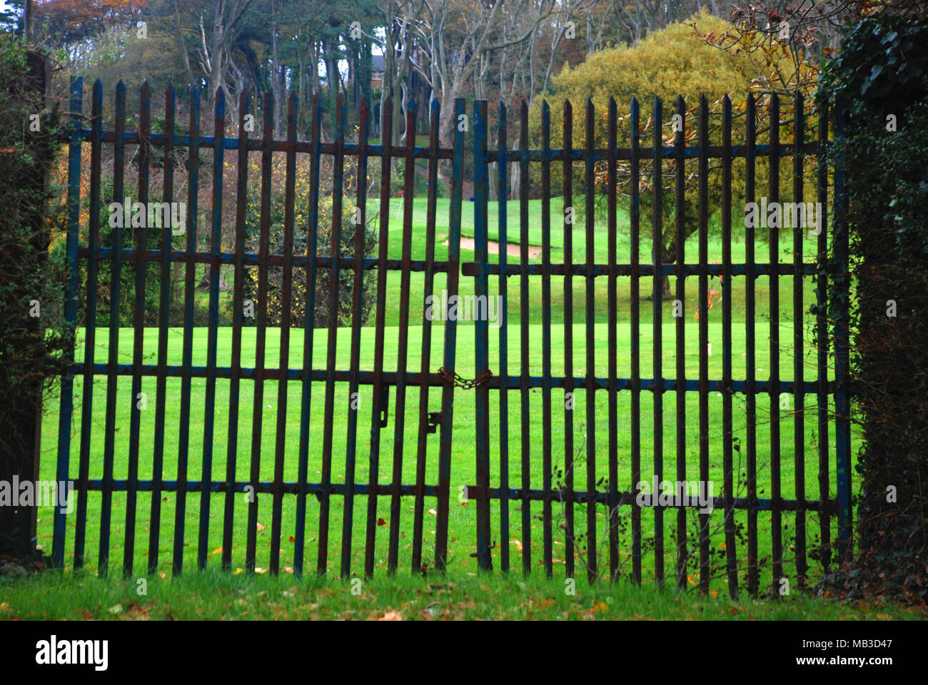 Forest behind closed gates Stock Photo - Alamy
