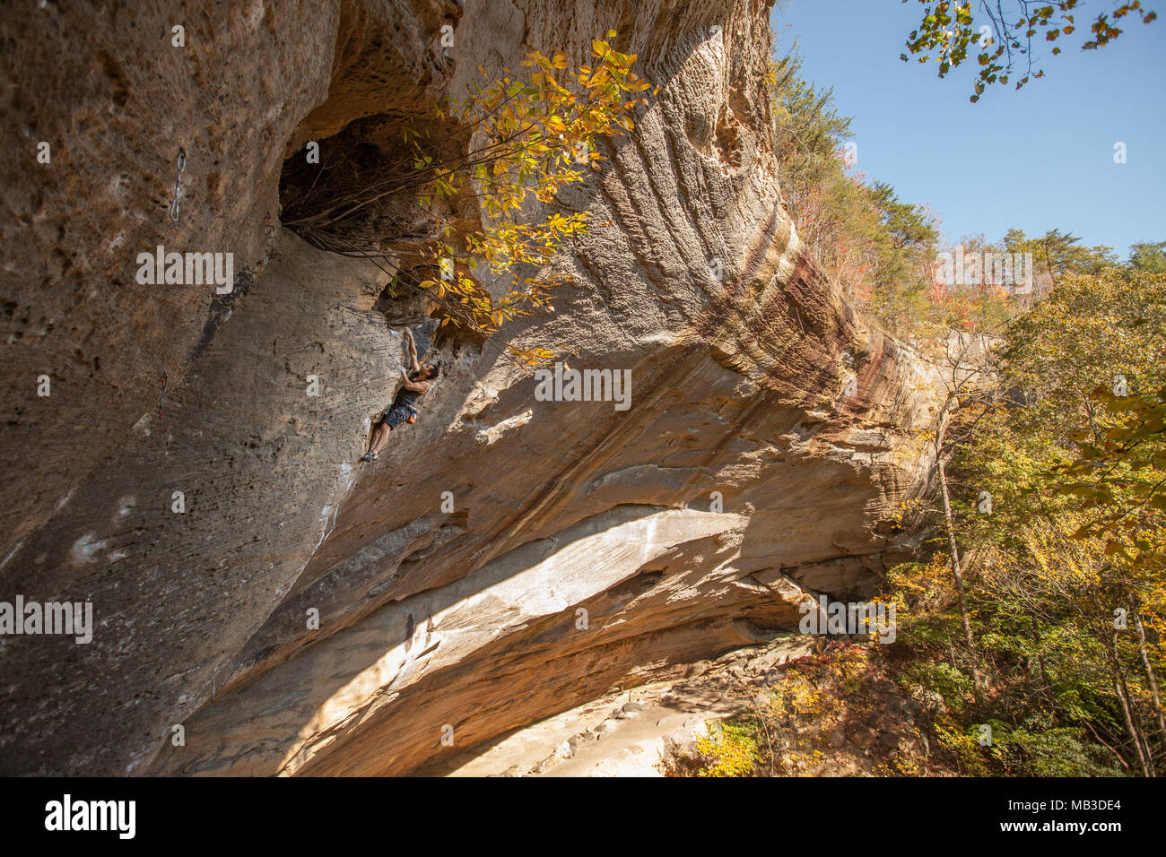 @wilkinsonvisual hi-res stock photography and images - Alamy