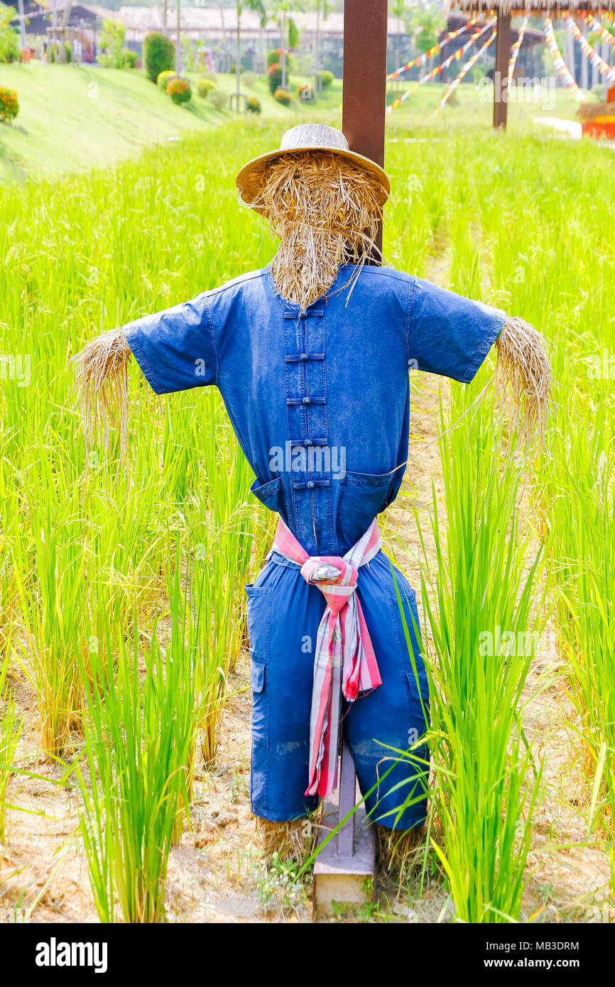 Scarecrows in a field hi-res stock photography and images - Alamy