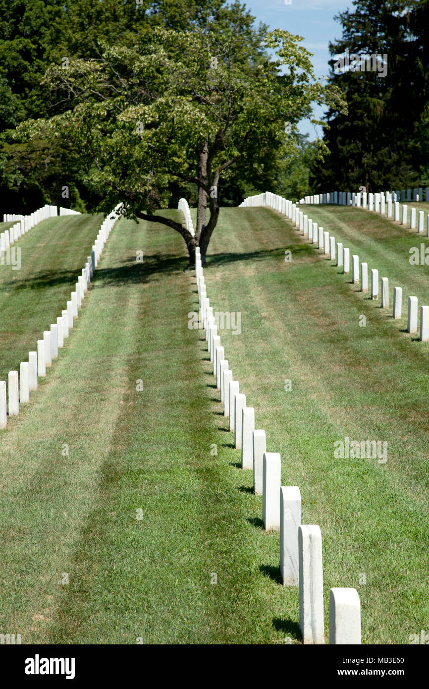 Rows of Gravestones Stock Photo - Alamy