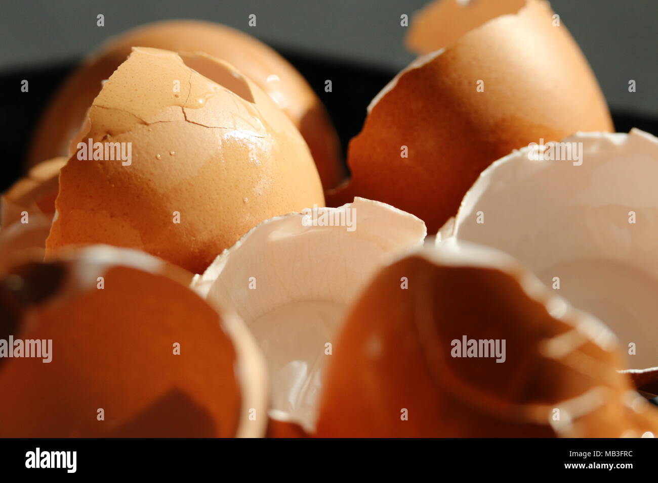 egg shells of broken eggs Stock Photo - Alamy