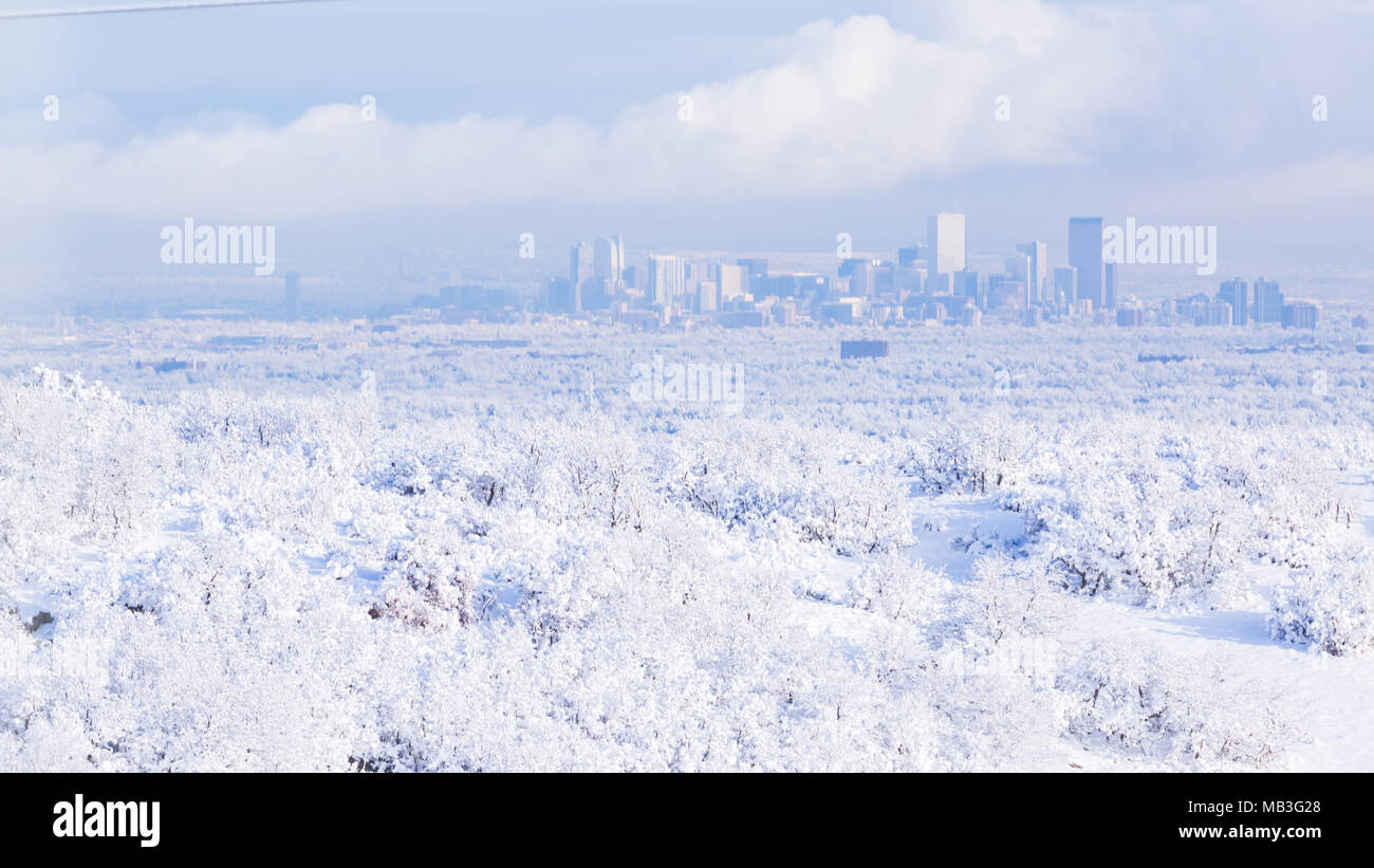 Aerial view of downtown Denver in the Winter Stock Photo - Alamy