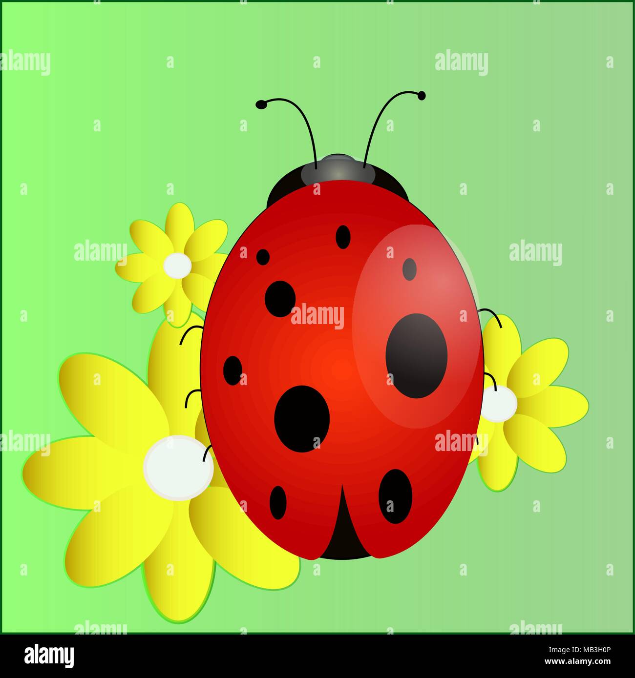 a ladybird, a cartoon character, an insect Stock Vector Image & Art - Alamy