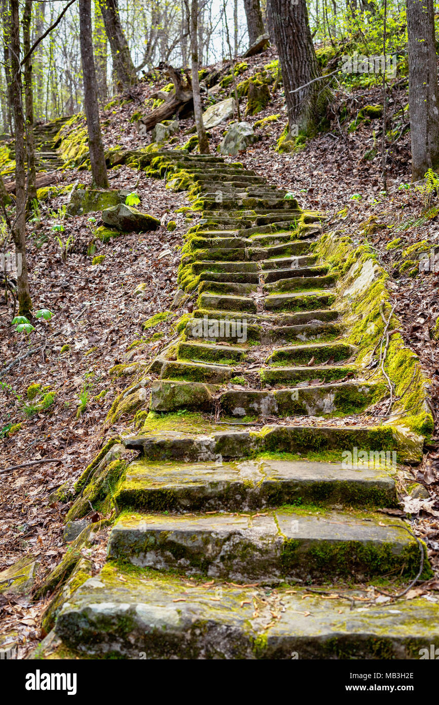 The old moss covered stone steps lead up the hillside at Tishomingo ...