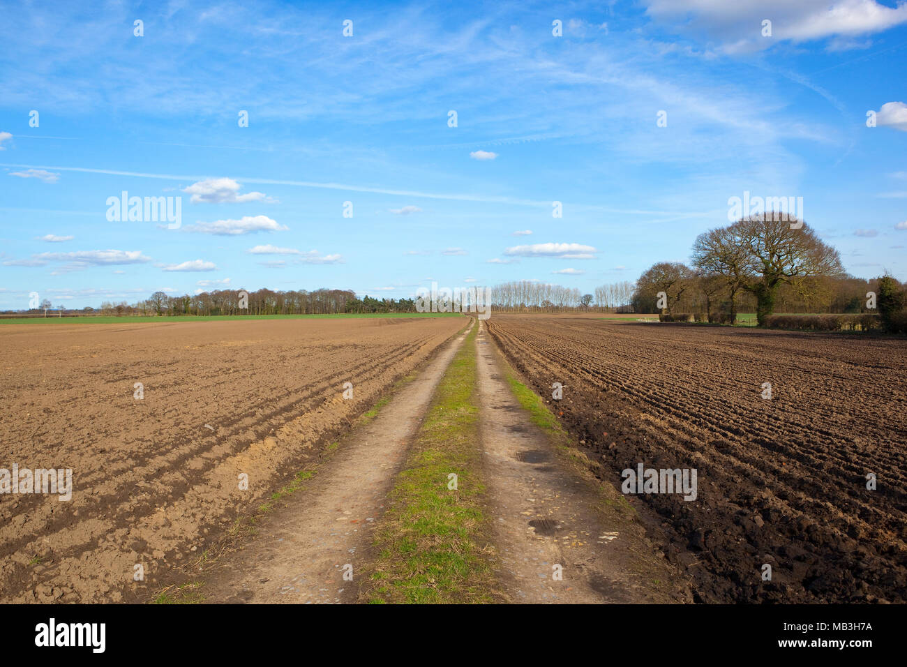Track and fiels hi-res stock photography and images - Alamy