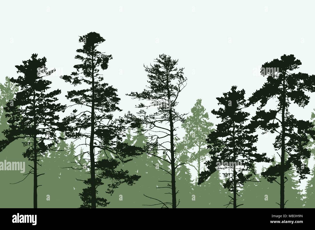 Pine wood forest under Stock Vector Images - Alamy