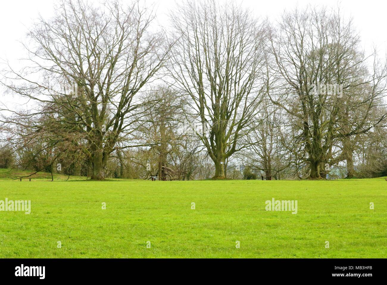 Deddington Castle remains in Oxfordshire, UK Stock Photo - Alamy