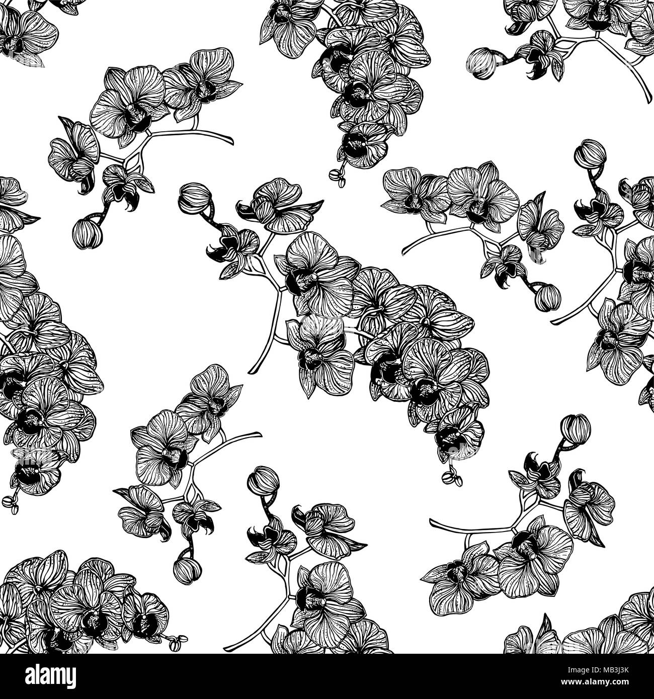 Seamless pattern of hand drawn sketch style orchid flowers isolated on ...