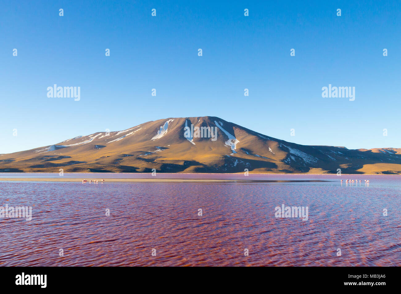 Laguna Colorada landscape,Bolivia. Beautiful bolivian panorama. Red ...
