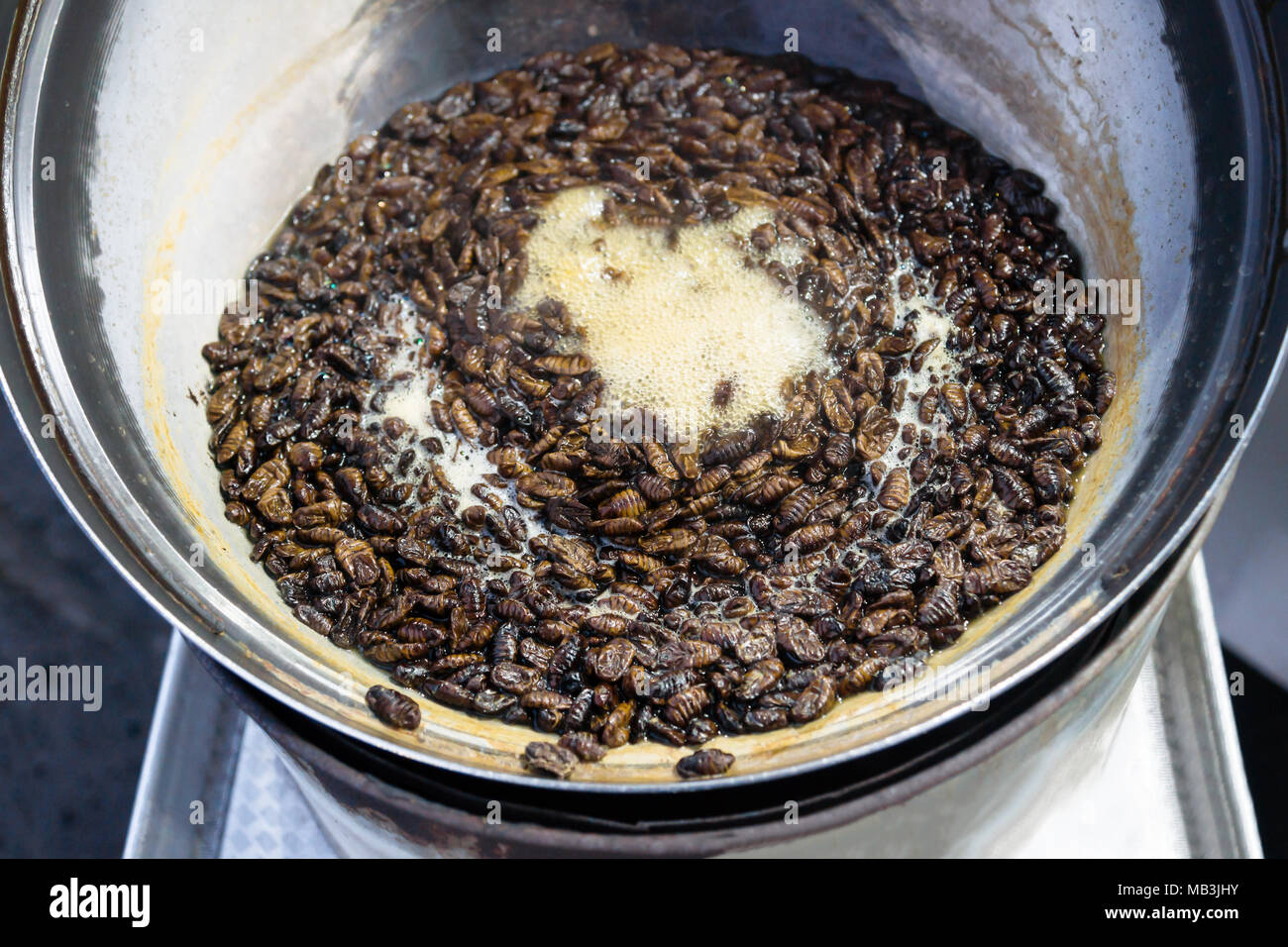 Pot with cooking beondegi, Silkworm pupae eaten as Korean Streetfood at ...