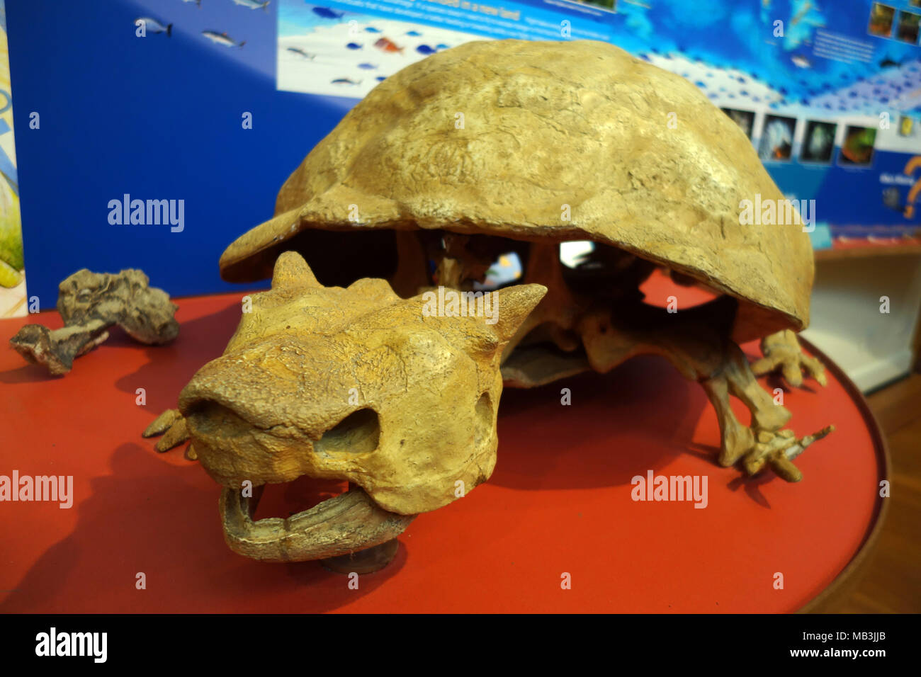 Shell island wales hi-res stock photography and images - Alamy