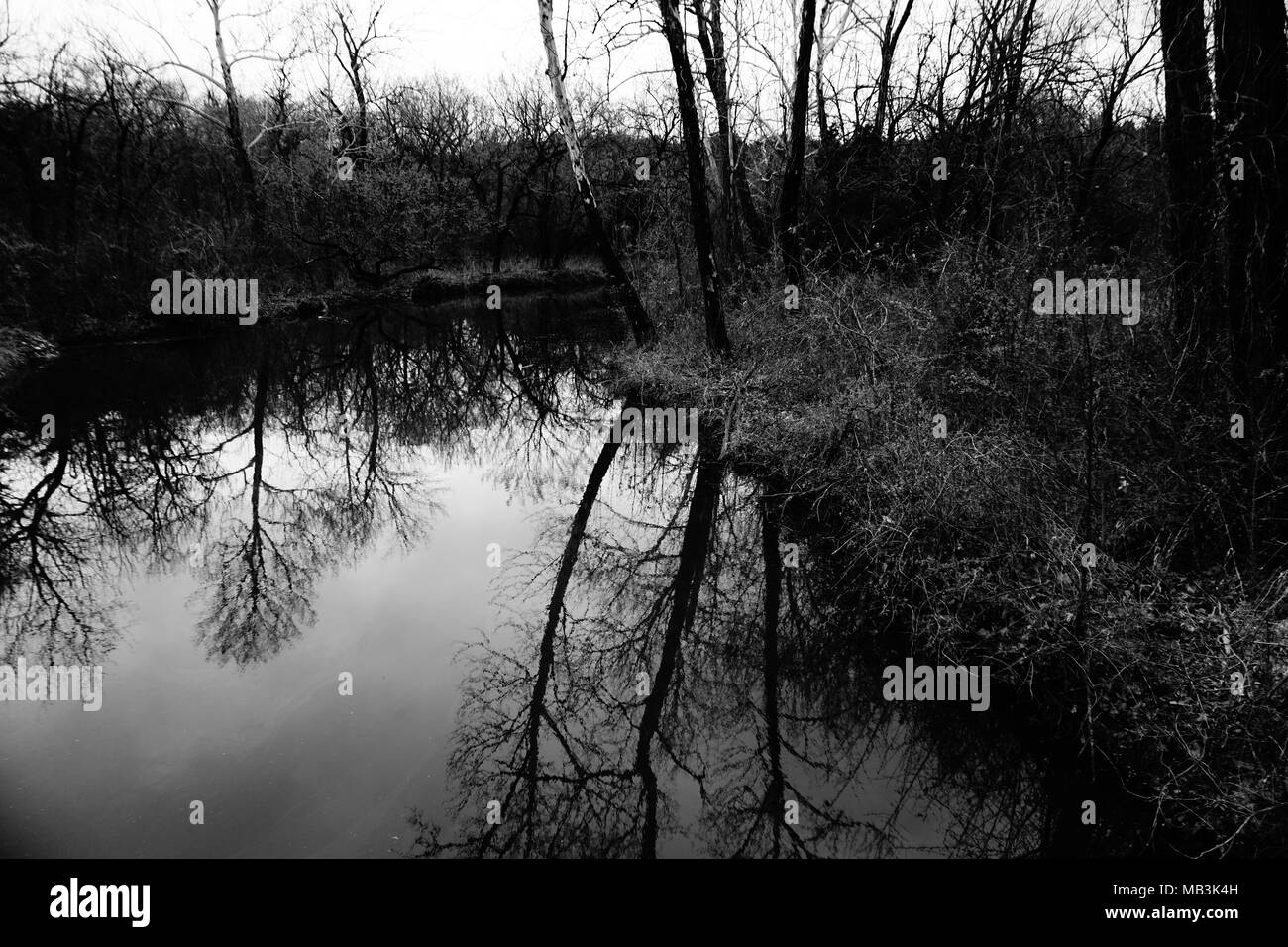 Dark pond with reflections hi-res stock photography and images - Alamy