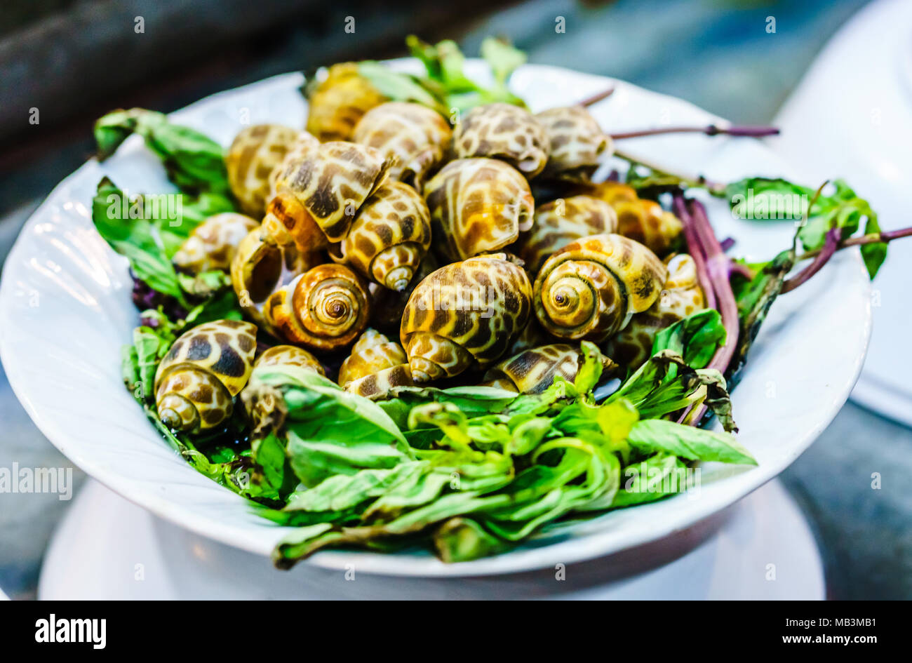 Gastropod dish hi-res stock photography and images - Alamy