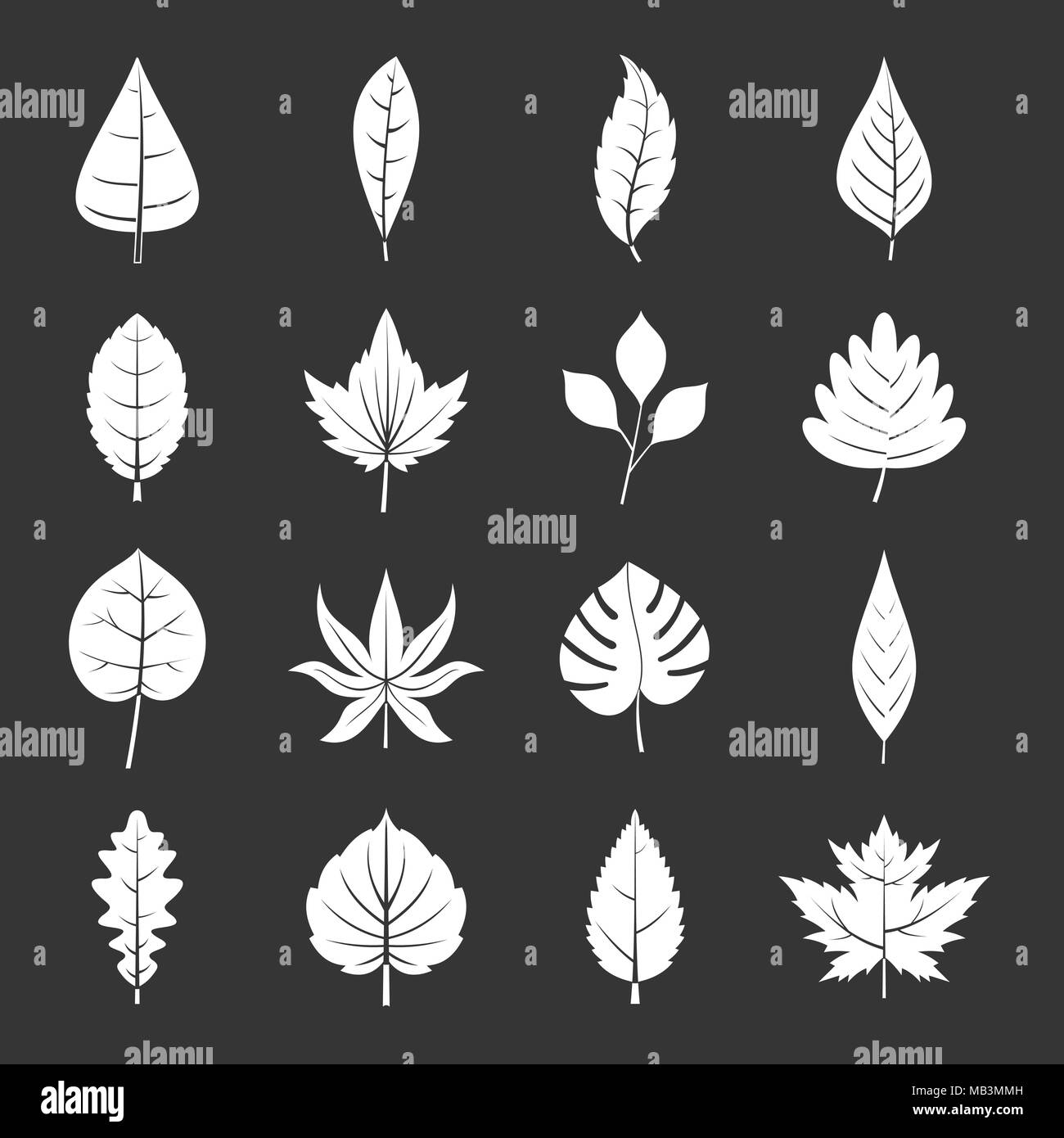 Plant leafs icons set grey vector Stock Vector Image & Art - Alamy