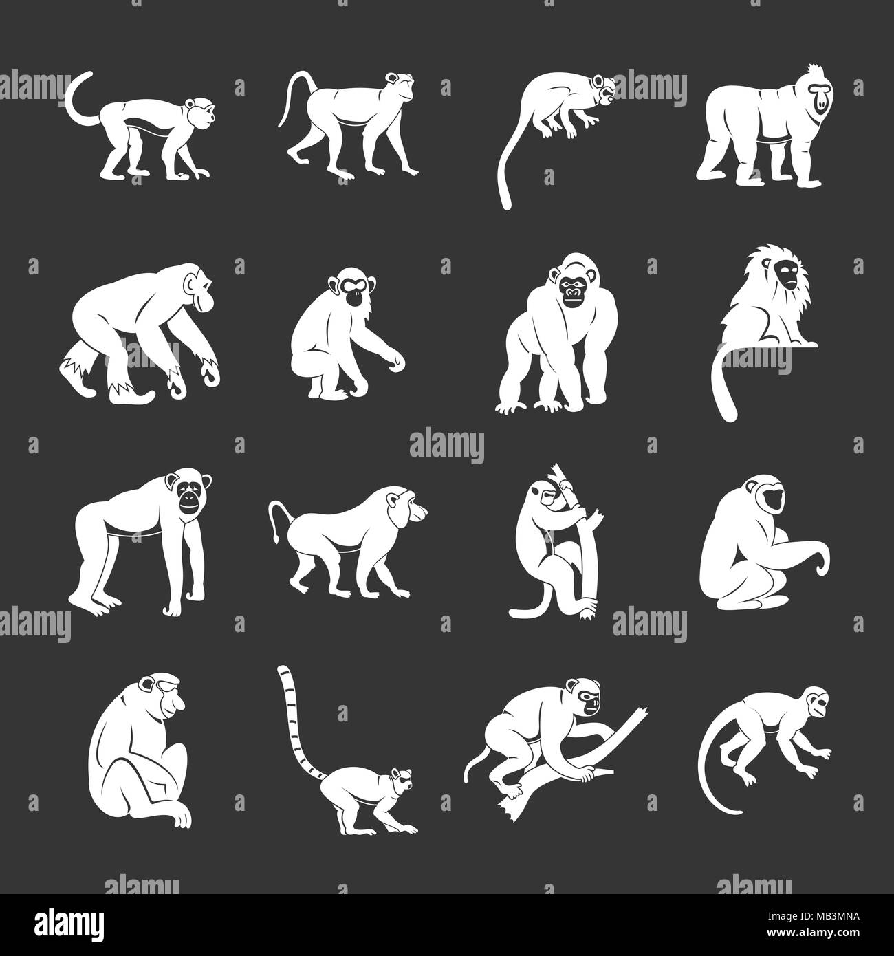 Monkey types icons set grey vector Stock Vector Image & Art - Alamy