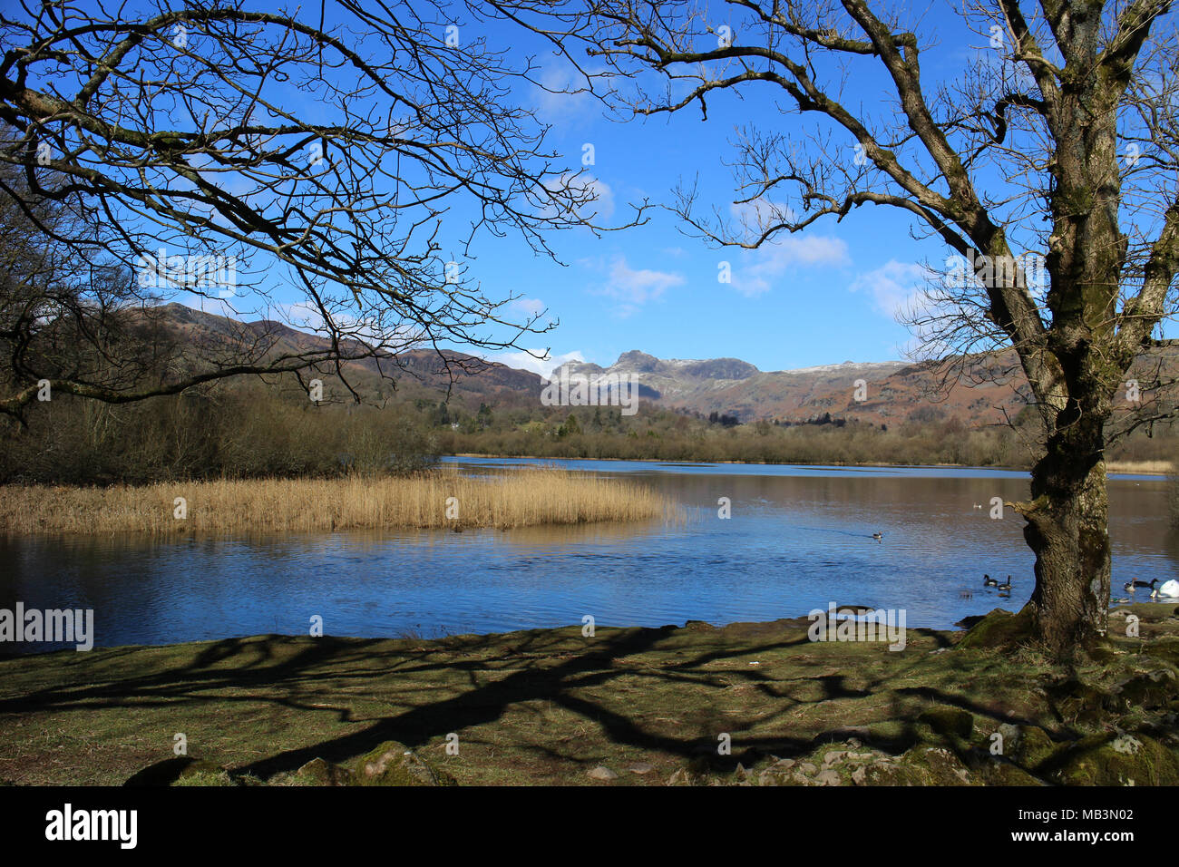 Elterwater area hi-res stock photography and images - Alamy