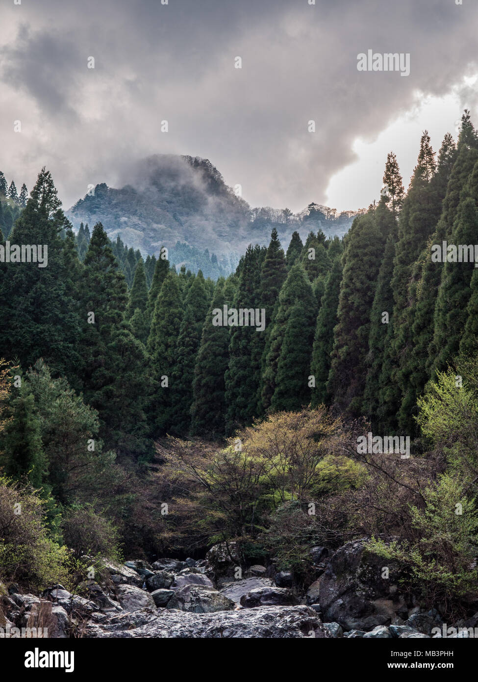 Timber structures hi-res stock photography and images - Alamy