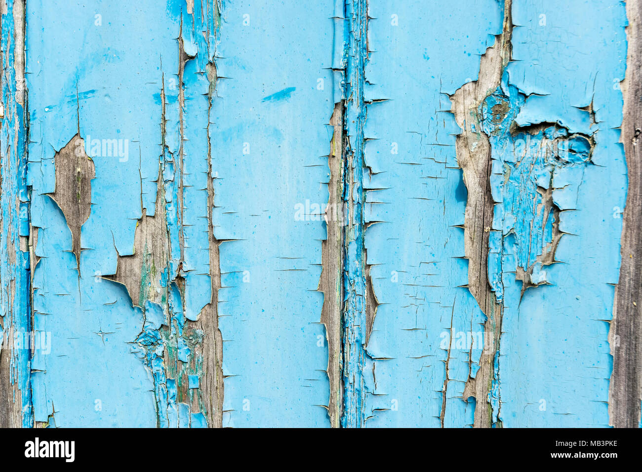 Blue paint flaking off wooden panel Stock Photo - Alamy