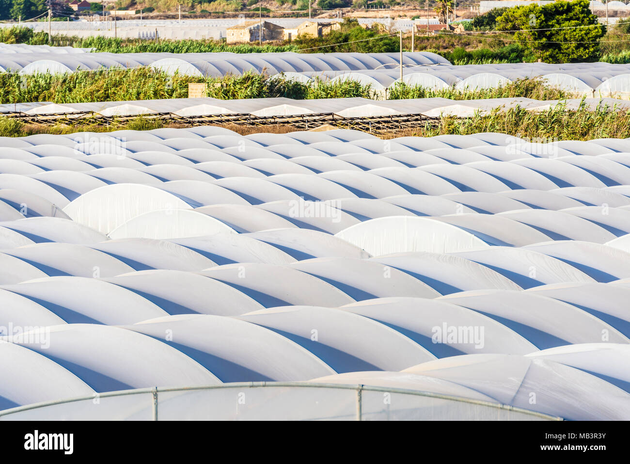 Rows of greenhouses of vegetables in the south of Sicily, Italy Stock ...