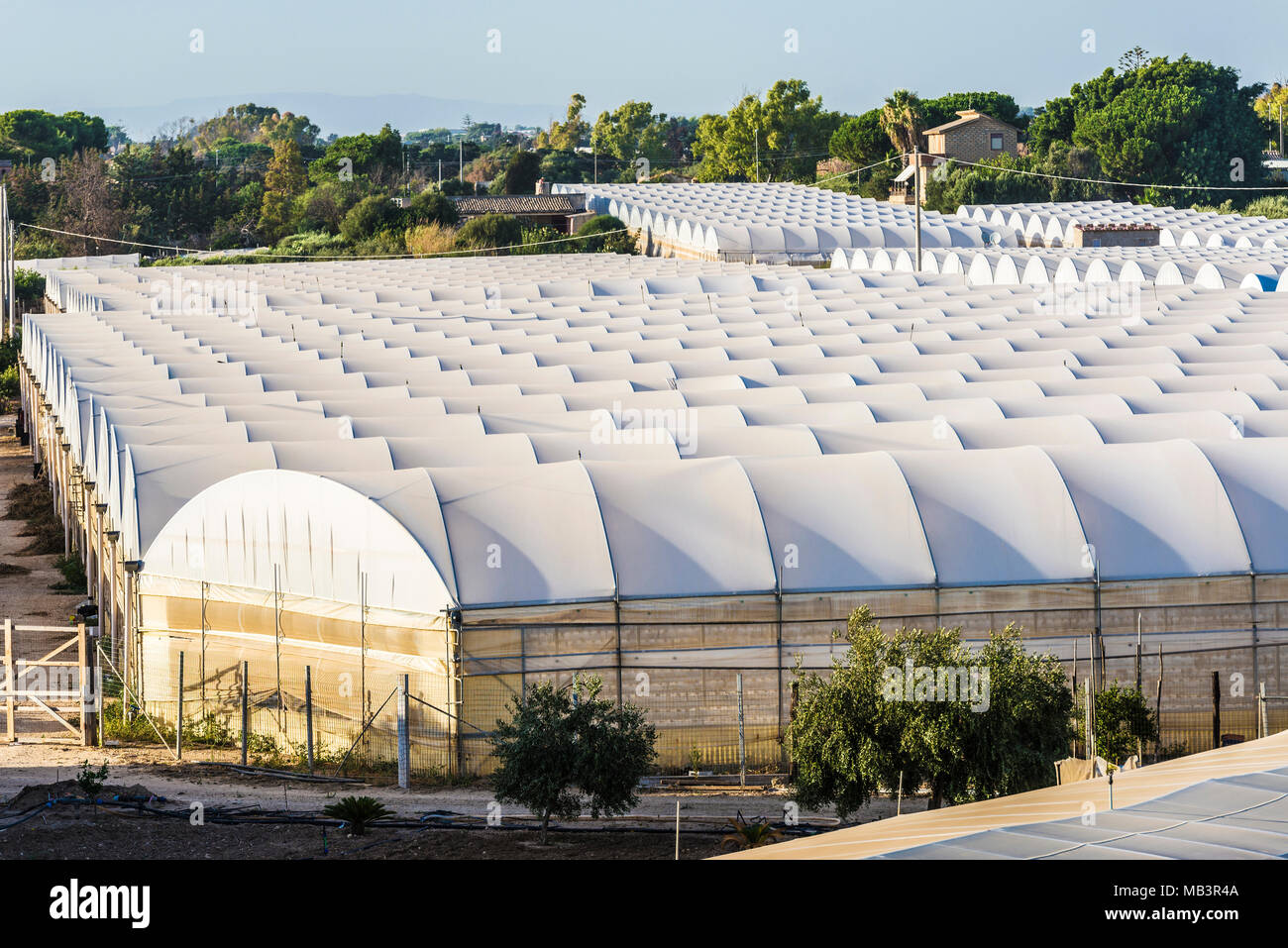 Rows of greenhouses of vegetables in the south of Sicily, Italy Stock ...