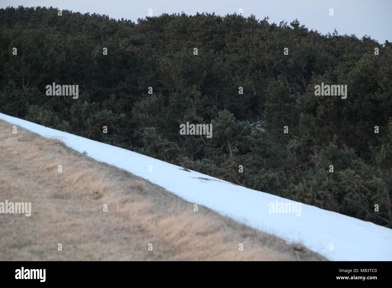 Tsunami Destruction Tohoku Japan March 2011 Stock Photo - Alamy