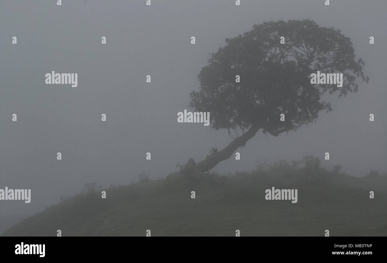 Cloudy drizzle hi-res stock photography and images - Alamy