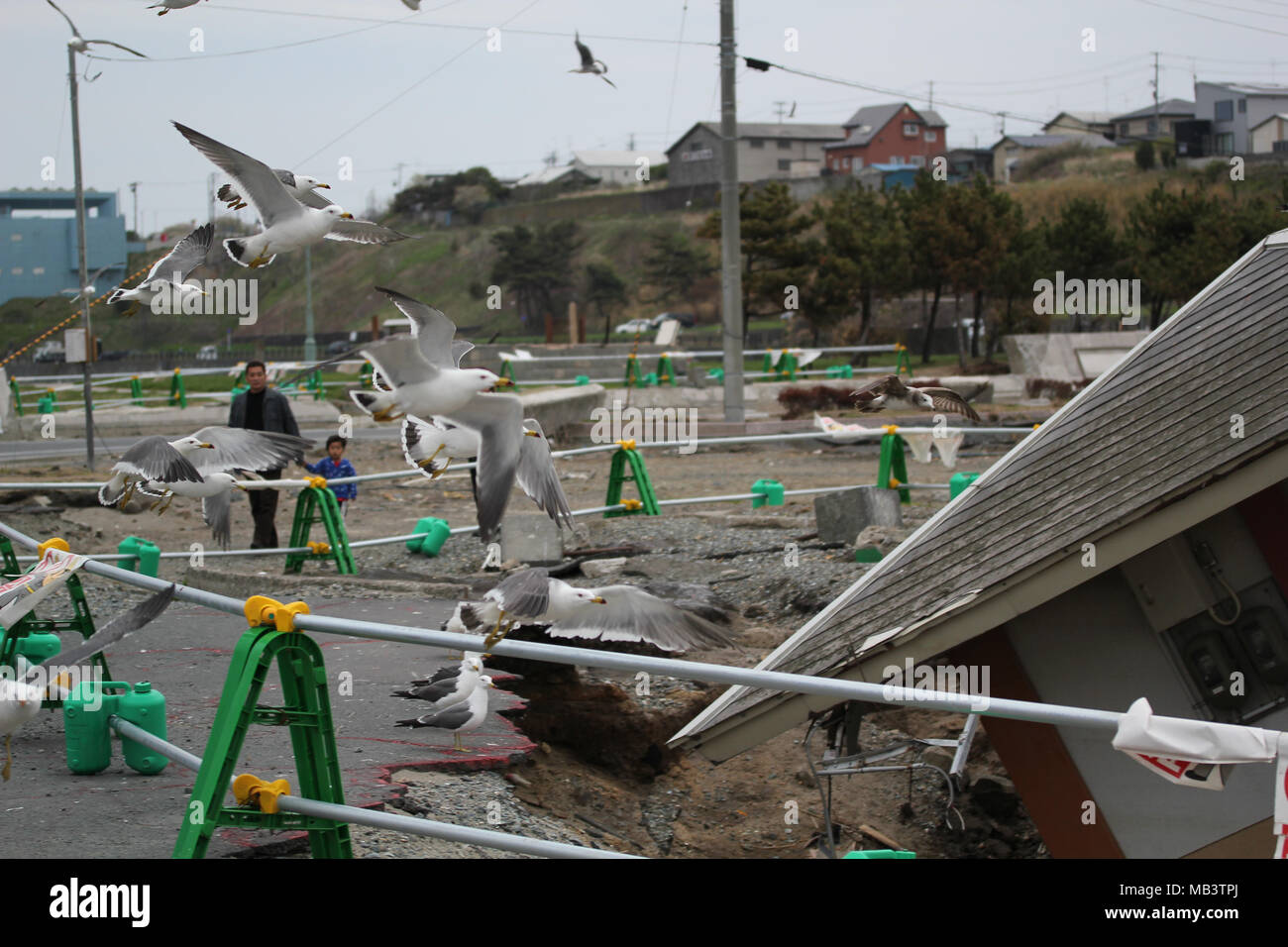 Tsunami Destruction Tohoku Japan March 2011 Stock Photo - Alamy