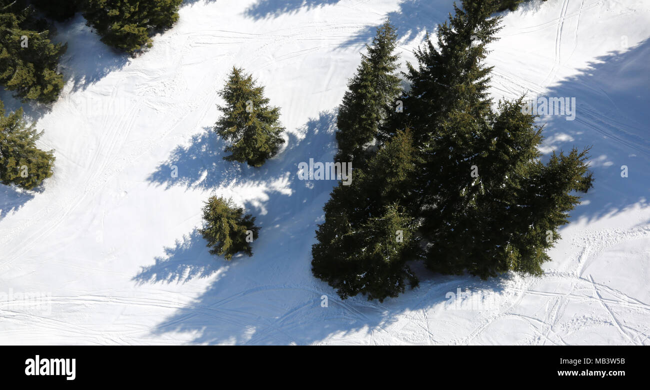 Aerial view of the forest with snow in winter Stock Photo - Alamy