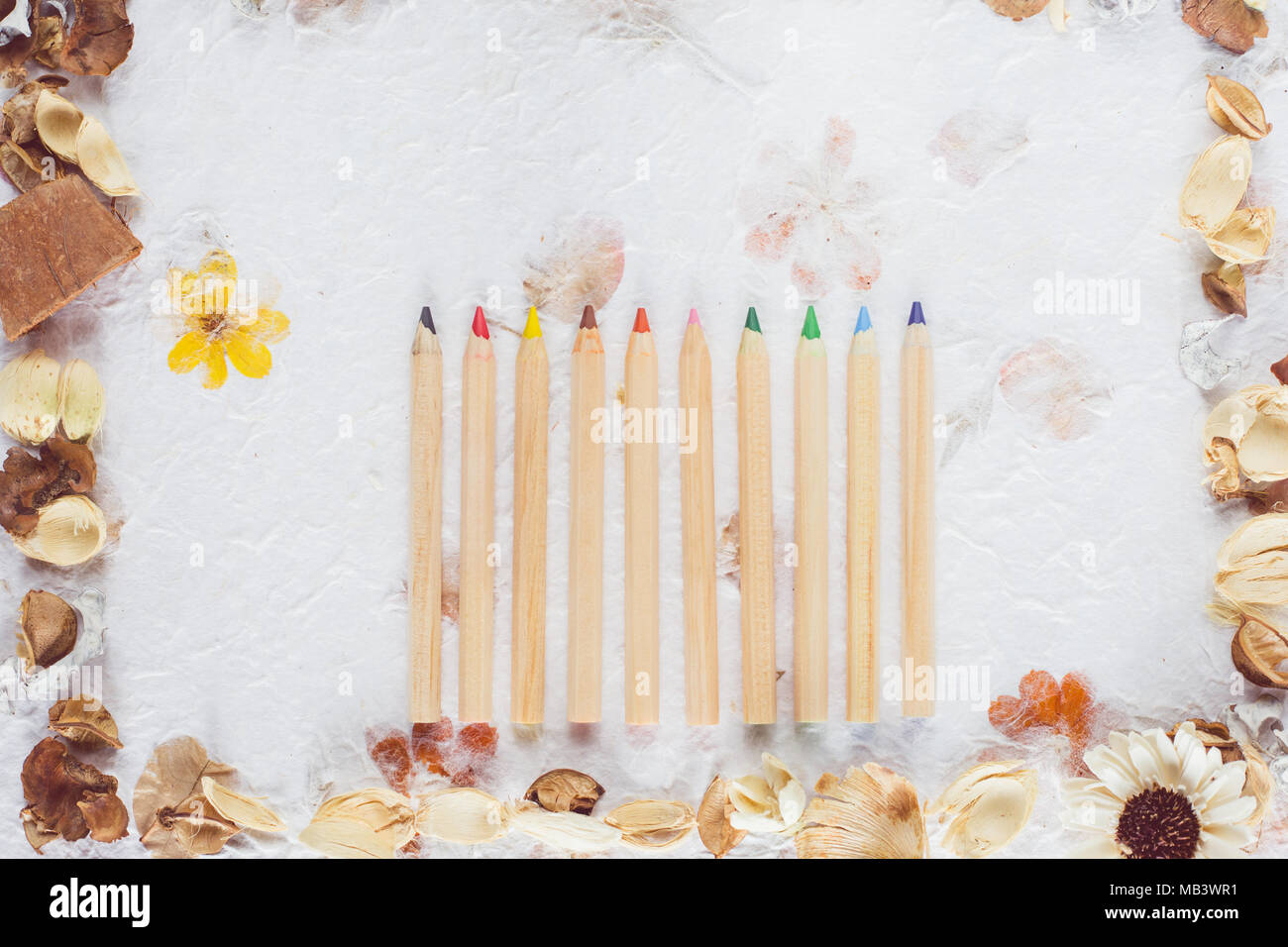 Group of color pencil with dried flower frame Stock Photo - Alamy