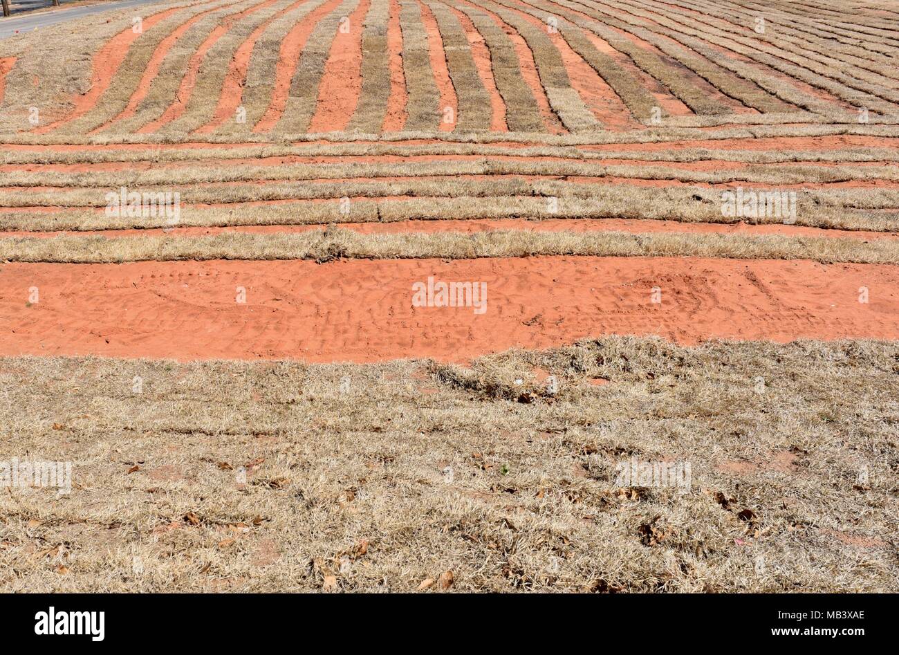 Sod farming hi-res stock photography and images - Alamy