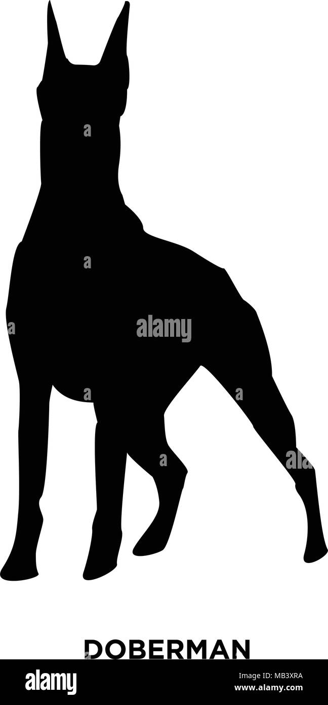 Doberman dog portrait on Stock Vector Images - Alamy