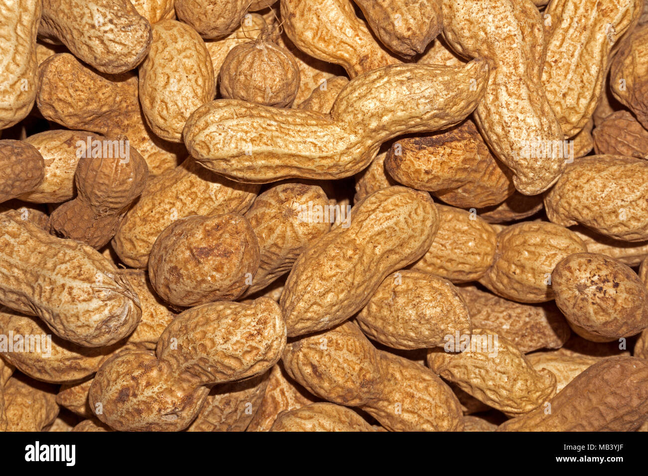 background - ripe uncooked inshell peanuts closeup Stock Photo - Alamy
