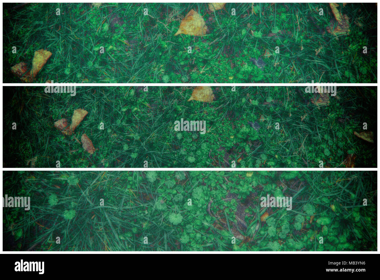 Fall leaves on green grass field, view from above, autumn background ...