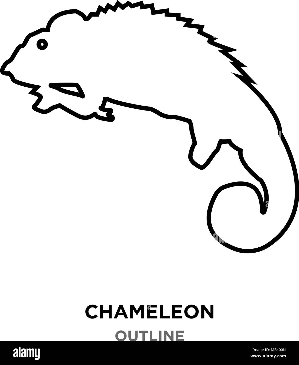 Chameleon Outline