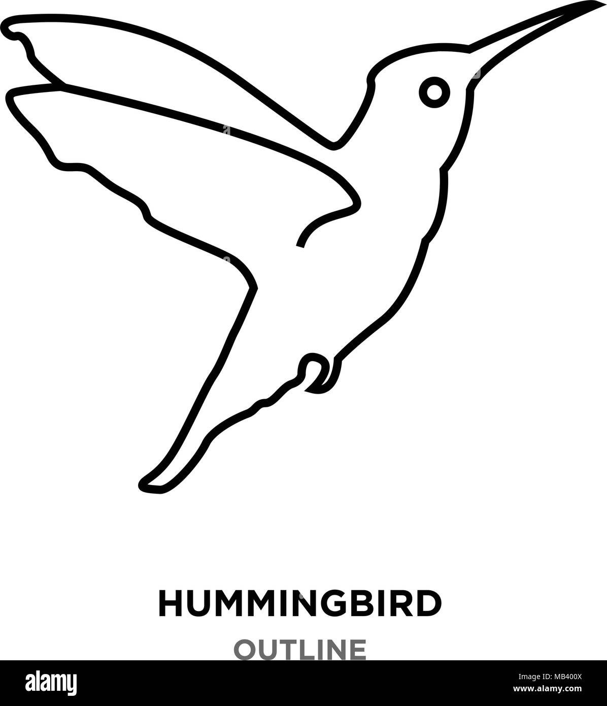 Hummingbird Drawing Outline