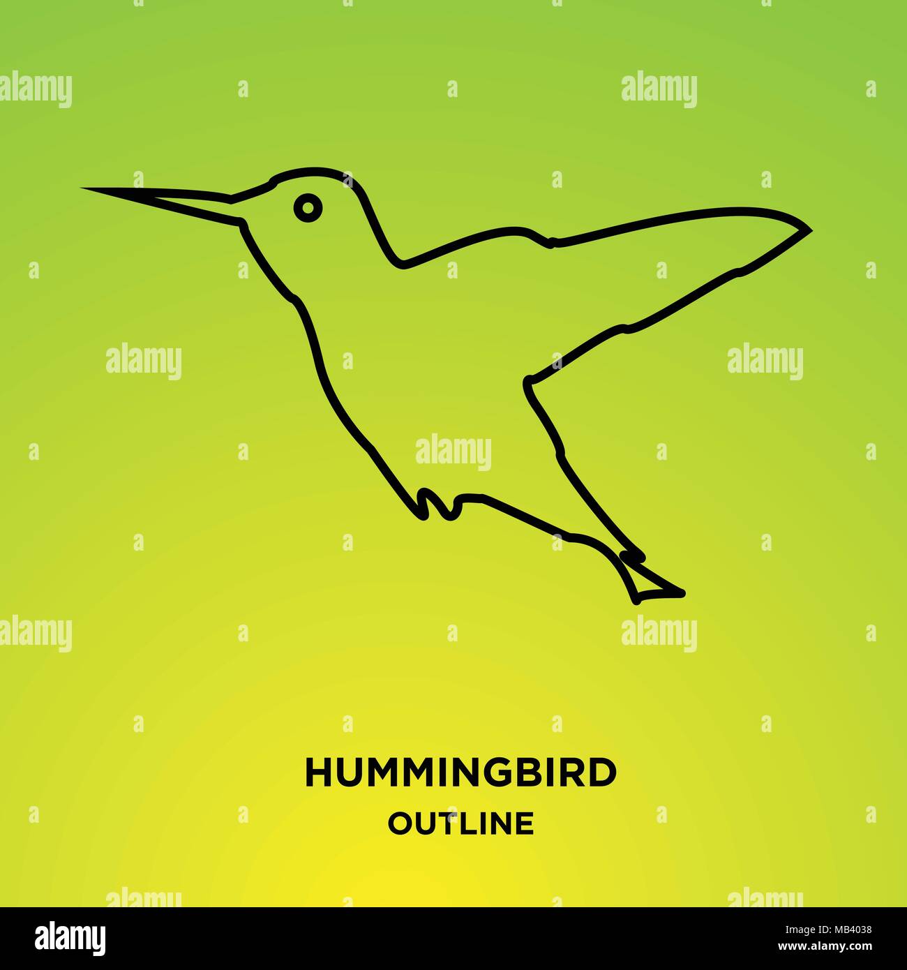 hummingbird outline on green background Stock Vector Image & Art - Alamy